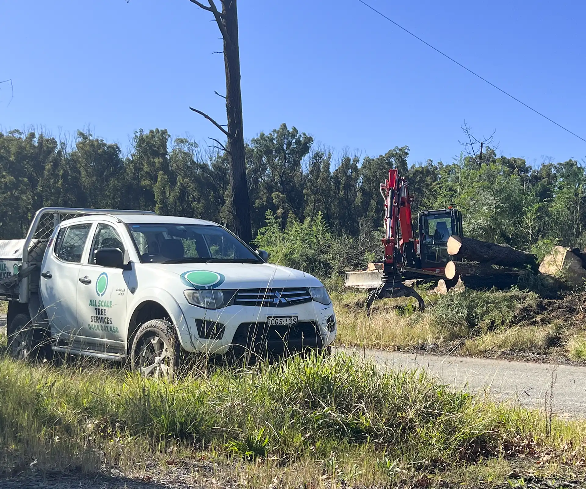 Get in touch | Southern Highlands | All Scale Trees